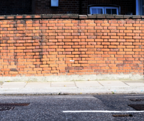 Feiten en fabels over verstening - Tonn