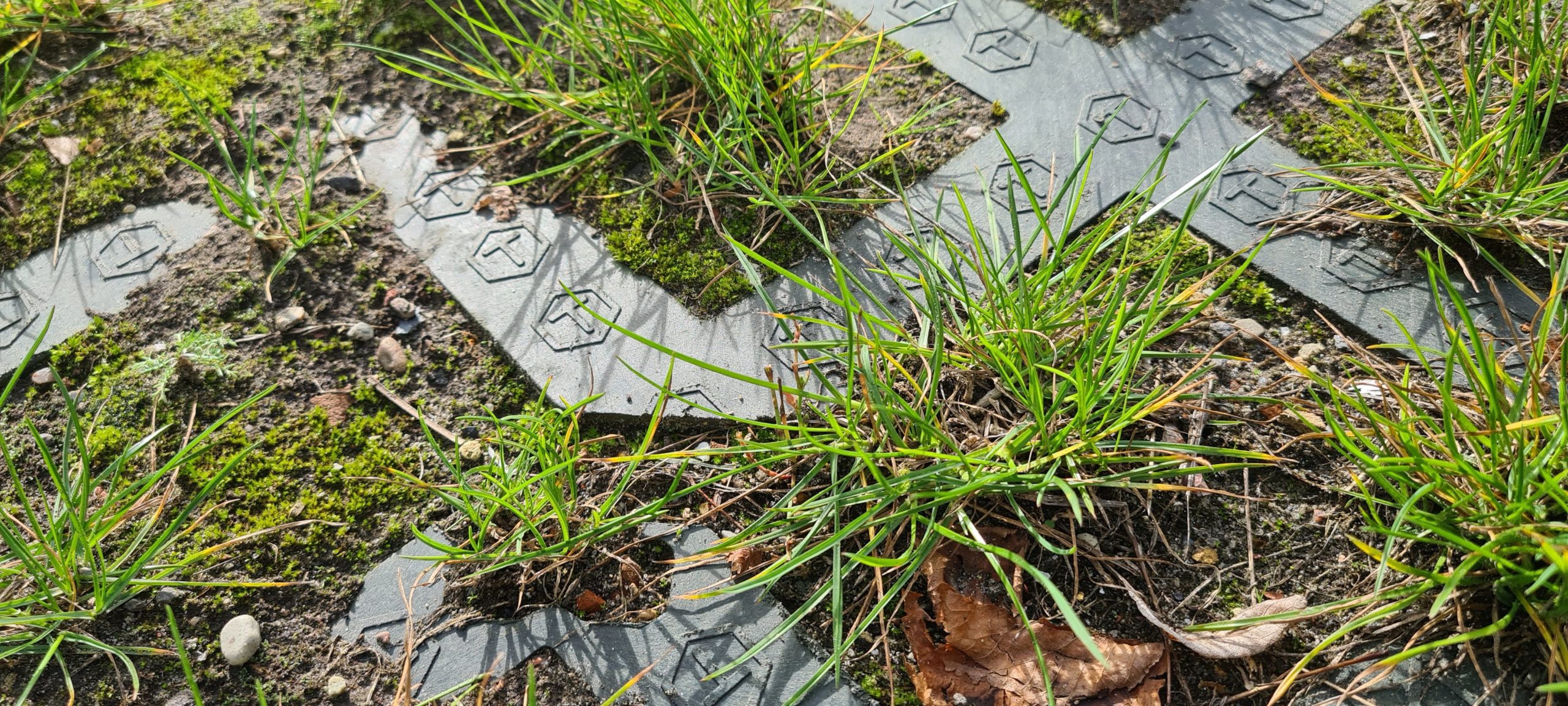 7 veelgemaakte aanlegfouten - Tonn